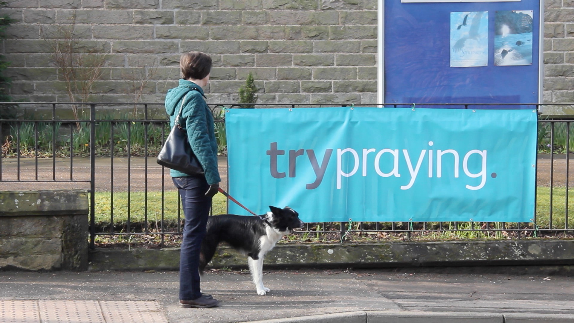 Trypraying. It’s a Wild Idea | Outreach Blog