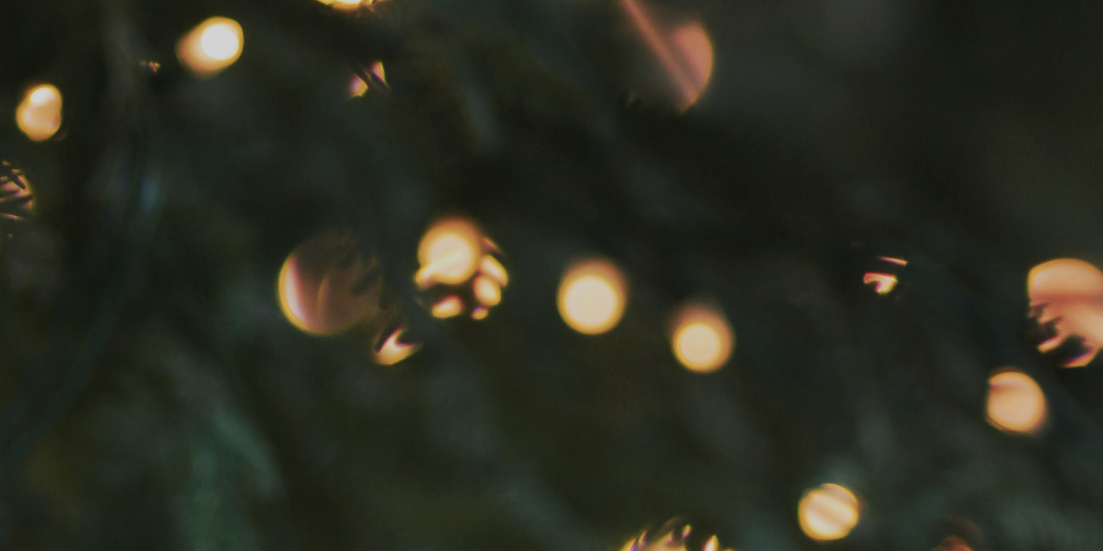 The Importance Of Your Christmas Timeline | Outreach Blog